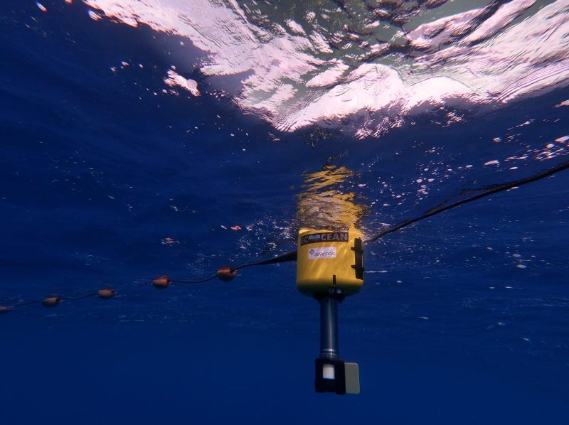 Marine Research - ecoocean